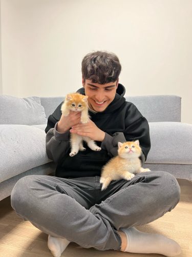 Emir: TikTok-Star, Autor, Schauspieler und kreativer Limo-Experte